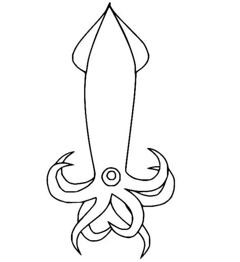 Squid Printable Coloring Page Download Print Or Color Online For Free