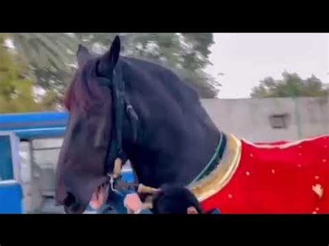 Sheebah Zuljanah Ghulam E Sarkar Ali Badshah Rawalpindi Youtube