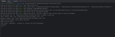 What Is Odoo Shell And How To Access It In Odoo 16