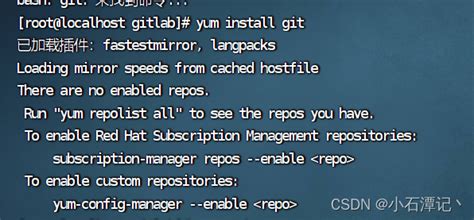 Centos安装软件失败there Are No Enabled Repos Csdn博客