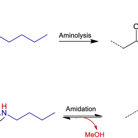 Reaction Scheme For Aminolysis And Amidation Reactions Download