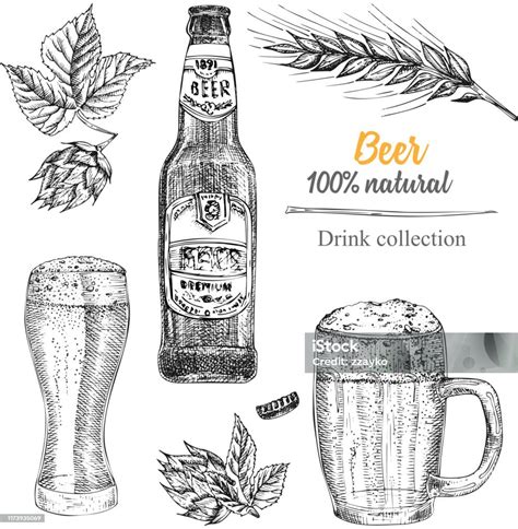 세트 손으로 그린 스케치 병 과 안경 맥주 홉 밀 빈티지 디자인 바 레스토랑 흰색 배경에 카페 메뉴 전단지 배너 포스터 조각 스타일을위한 창조적 인 템플릿 가득 찬에 대한
