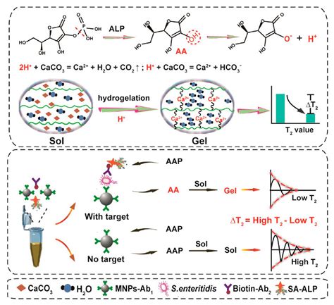Chemosensors Free Full Text The Advances Of Hydrosol Gel Transition Based Sensors