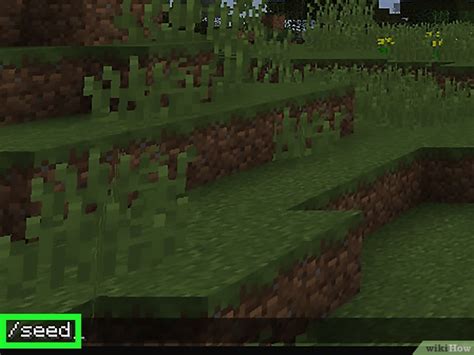 Seeds In Minecraft Finden Bedrock Und Java Edition
