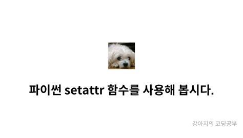 파이썬 Setattr 함수를 사용해 봅시다 Mysetting