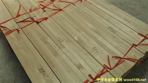 供 俄罗斯桦木橱柜料干燥锯材 中国木业信息网供应大市场