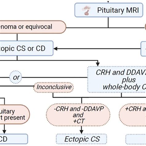 Cushing Disease Algorithm At Sam Bolivar Blog