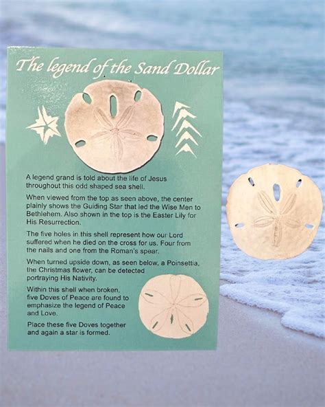 Sand Dollar And Legend Poem Post Card Set 1 White Natural Florida Sand