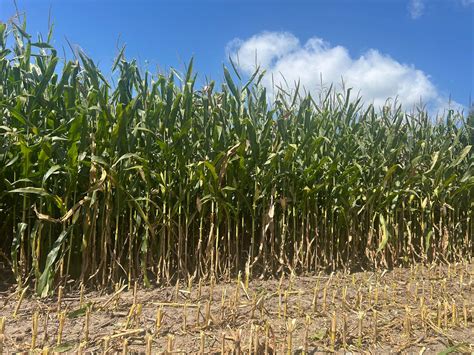 Deb Thummel Deb Thummel Added A New Photo