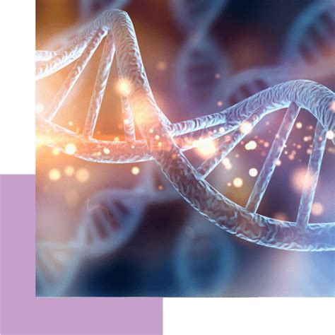 Kir Hla C Genotyping Institute Of Life