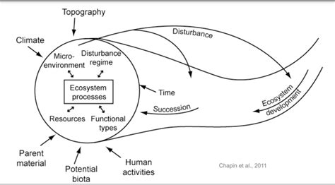 Biol 312 Lecture 3 Fc Diagram Quizlet
