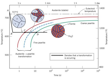 3 4 Iron Carbon System Development Of Microstructures Flashcards