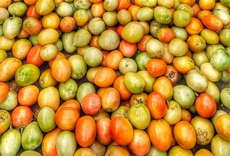 မြို့သစ်မြို့ စည်ပင်သာယာစျေးတွင် ခရမ်းချဥ်သီးများပုံမှန်ဝင်ရောက် Information And Public