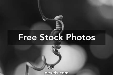 Geometric Curl Pattern Photos Download The Best Free Geometric Curl