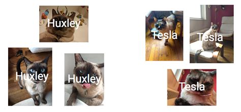 unsupervised learning demystified kdnuggets