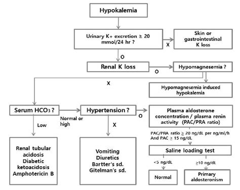 Pragmatic Diagnostic Algorithm For Hypokalemia Typica