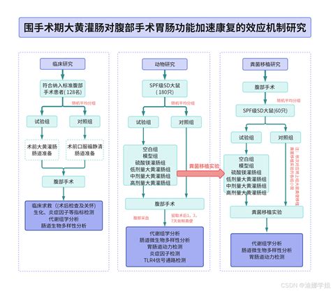 这才是导师认可的论文 开题技术路线图医学课题技术路线图 Csdn博客