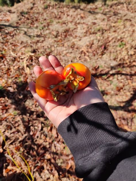 Sanyam Jain On Linkedin In Our Busy Lives Its Important To Take A Break And Spend Some Time In…