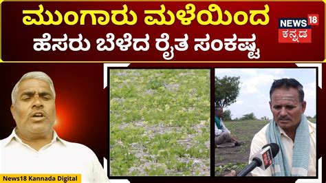 Koppal Rains Crops Loss ಅಧಿಕ ಮಳೆ ಕಾರಣ ಹೆಸರು ಬೆಳೆ ನಾಶ Karnataka Rains N18v Youtube