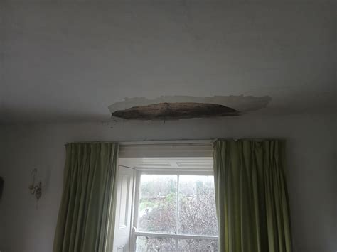 Plaster Fell Off The Ceiling Diynot Forums