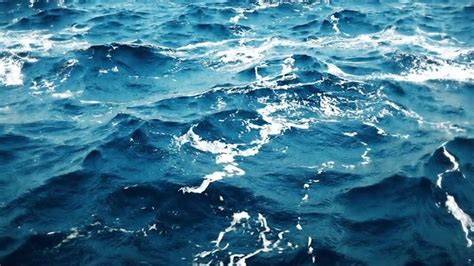 ocean stock motion graphics motion array