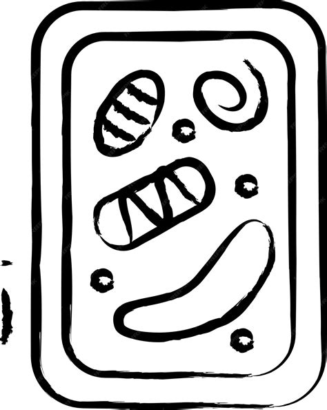 Premium Vector Plant Cell Hand Drawn Vector Illustration