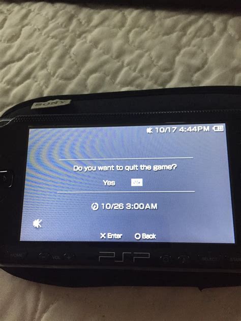 What Is This On The Quit Screen Rpsp