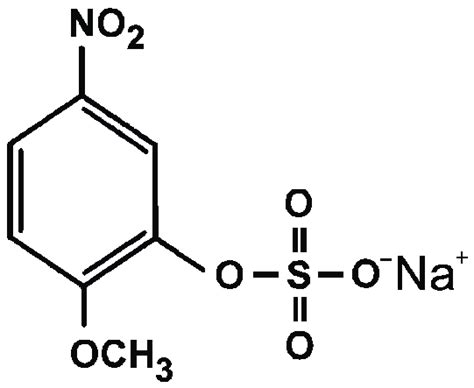 The Structure Of Mnps Download Scientific Diagram