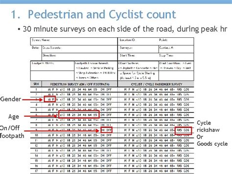 Street Design Survey And Data Collection 1 Pedestrian