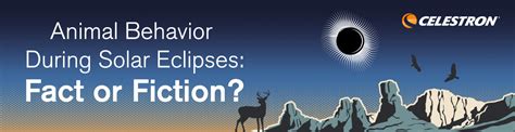 Animal Behavior During Solar Eclipses Fact Or Fiction Celestron