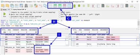 Compare Custom Query Results Ks Db Merge Tools For Oracle