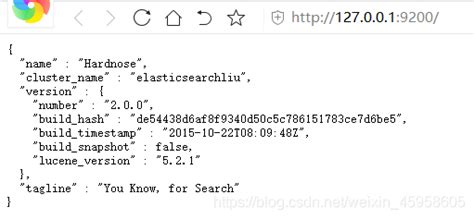 Es（集群）单连接搭建，java操作eses Client新建连接 Csdn博客