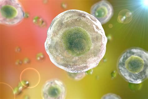 39 Facts About Cytoplasm