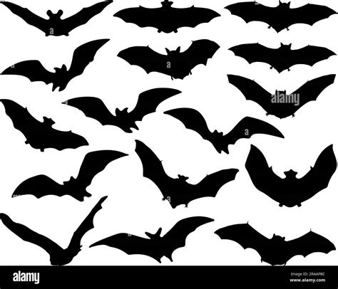 For Bats Stock Vector Images Alamy