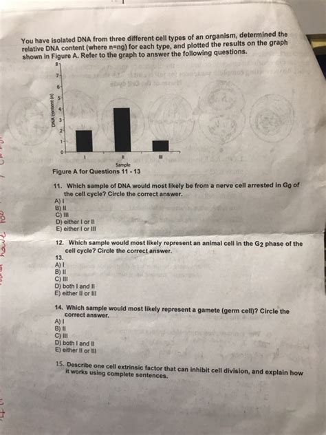 Solved You Have Isolated Dna From Three Different Cell Types