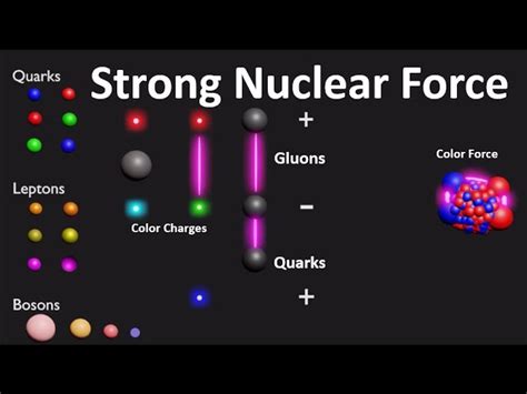 Strong Nuclear Force The Strong Nuclear Force