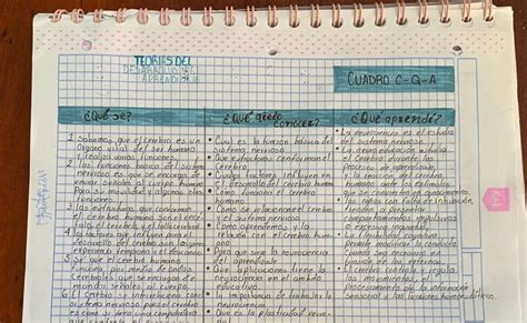 Adamari Portafolio De Evidencias Cuadro C Q A