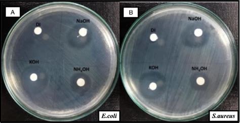 A Bacteria Inhibition Of Escherichia Coli And B Staphylococcus Aureus Download Scientific