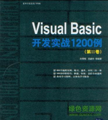 visual basic开发实战 例图片预览 绿色资源网