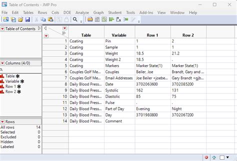 generate a report of database schema and sample data from each table jmp user community