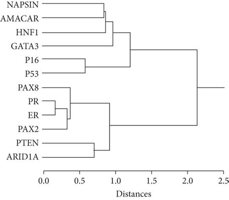 self organized hierarchical clustering of 12 biomarkers in 274