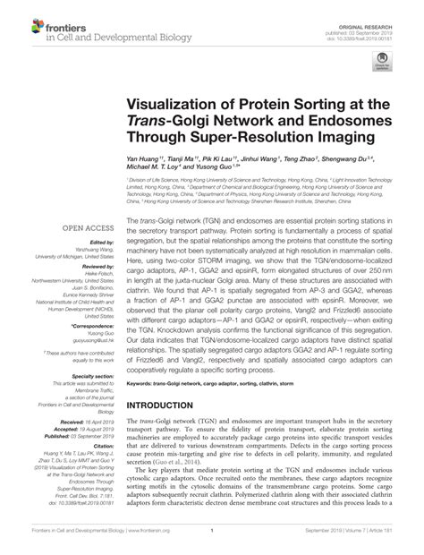 Pdf Visualization Of Protein Sorting At The Trans Golgi Network And Endosomes Through Super