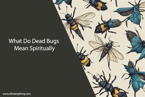 What Do Dead Bugs Mean Spiritually