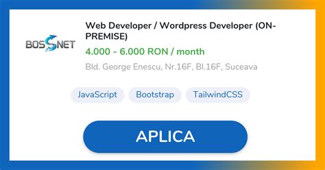 Web Developer Wordpress Developer On Premise Job In Suceava