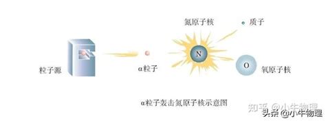 原子核的组成 知乎