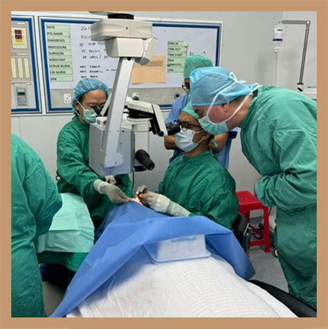 Istent Inject W Aventisin