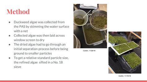 Bioplastic From Algae Pptx