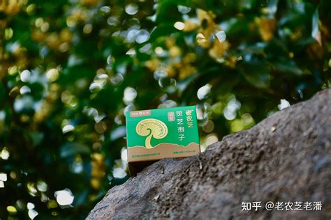 桂花飘香的时节老农芝新一季灵芝孢子粉上新了美丽秋天健康天天 知乎