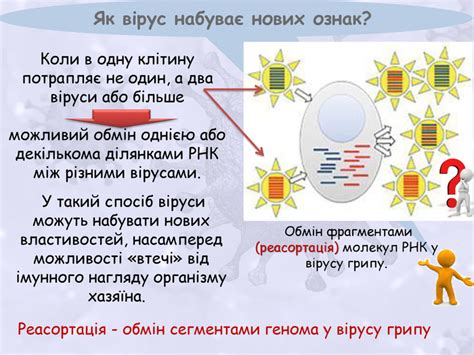 Презентація до уроку біології 10 клас з теми Гіпотези походження вірусів Роль вірусів в
