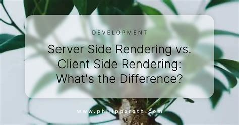 Server Side Rendering Vs Client Side Rendering Whats The Difference